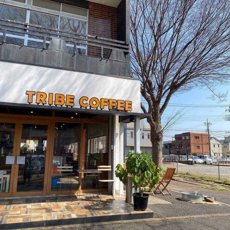 コーヒーの木に‥‼︎ | TRIBE COFFEE