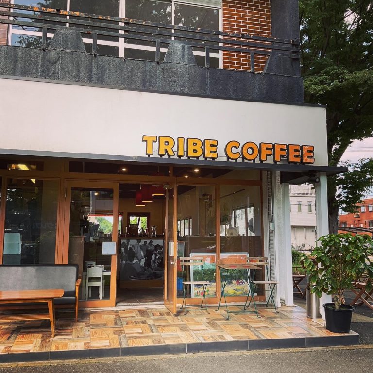 だんだんと夏に、 | TRIBE COFFEE