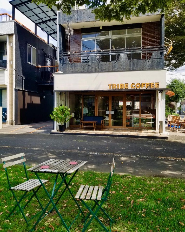 まだまだ蒸し暑い〜🥵 | TRIBE COFFEE